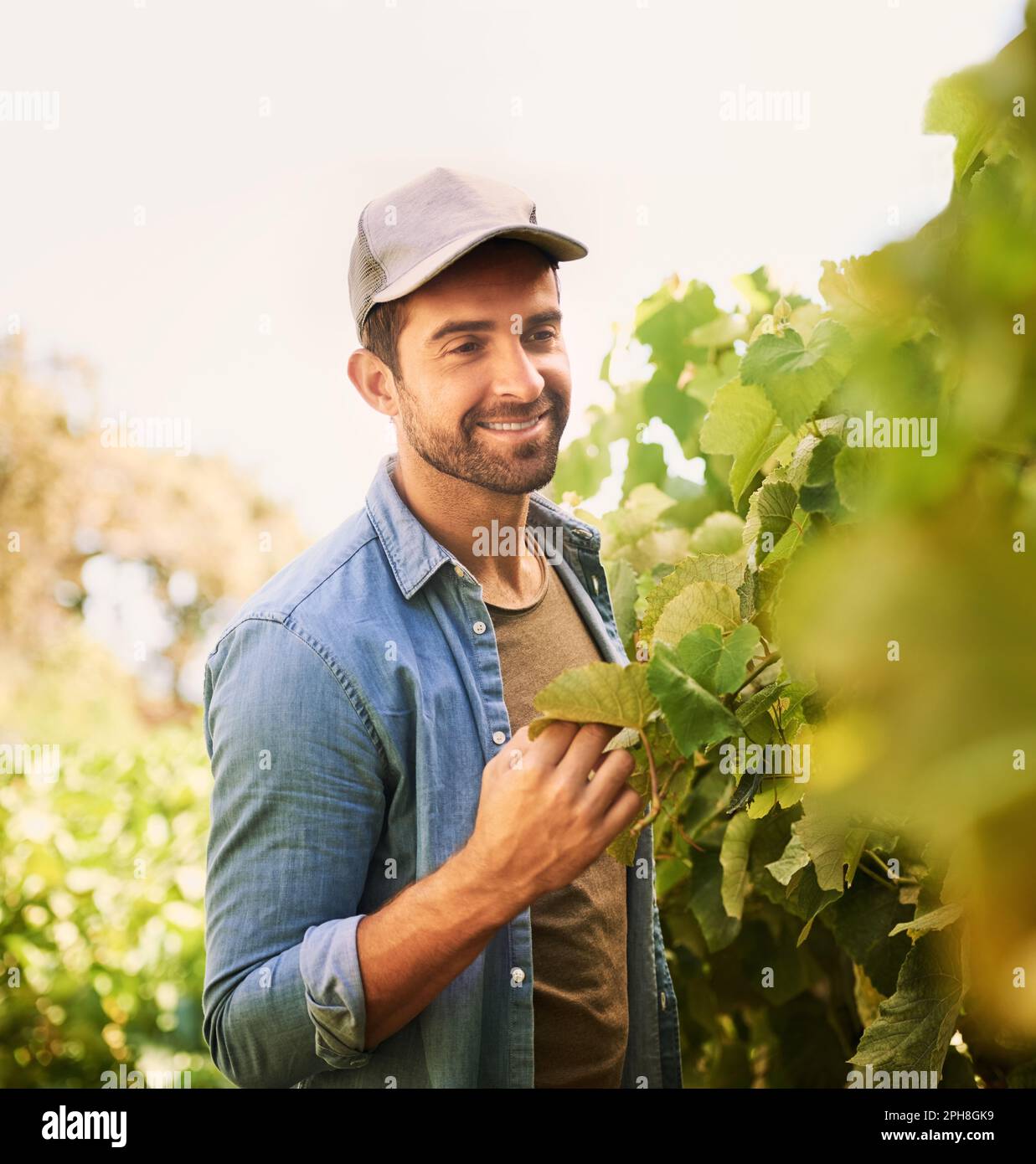 Healthy and ready to harvest. a happy young farmer examining the crops ...