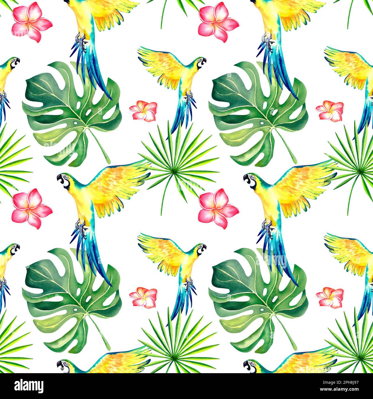 A pattern of macaws, monstera and plumeria parrots. Tropical collage ...