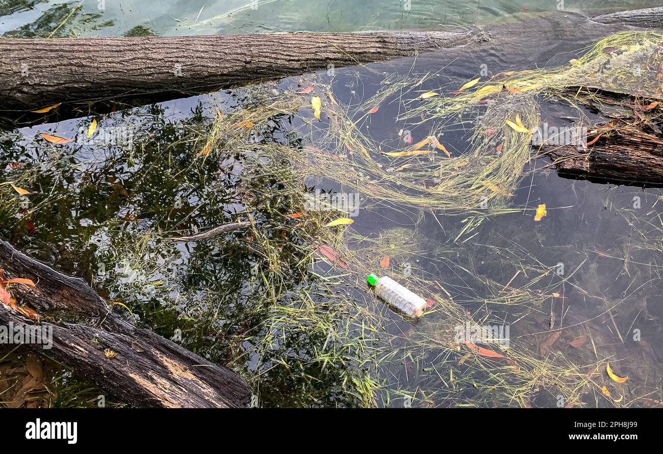 Plastic bottle floating on a lake. Plastic pollution concept. Top view ...