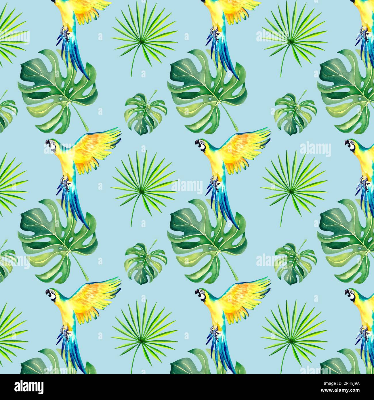 A pattern of macaws, monstera parrots. Tropical collage. Watercolor ...