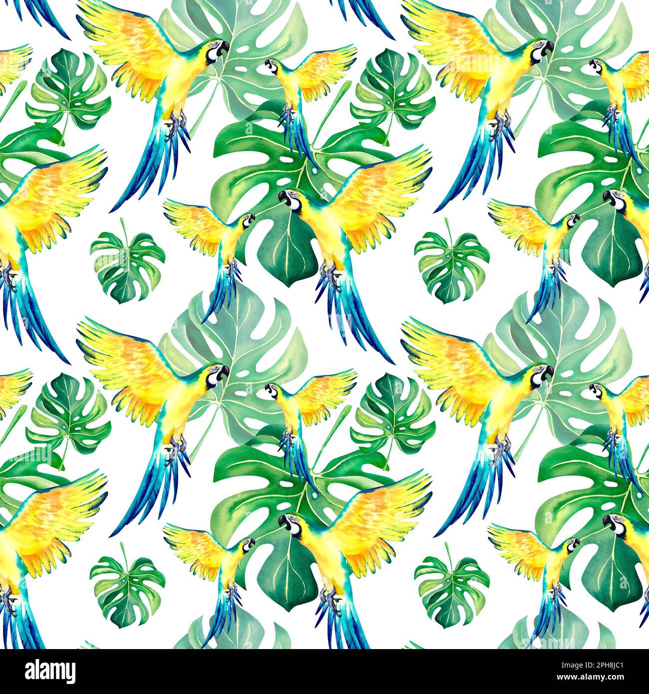 A pattern of macaws, monstera parrots. Tropical collage. Watercolor ...