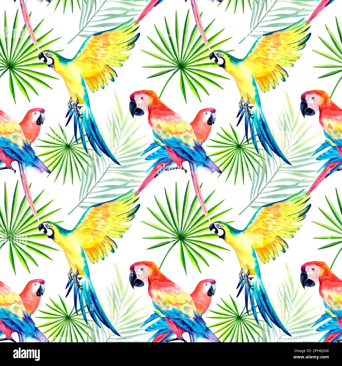 A pattern of macaws parrots. Tropical collage. Watercolor animals ...