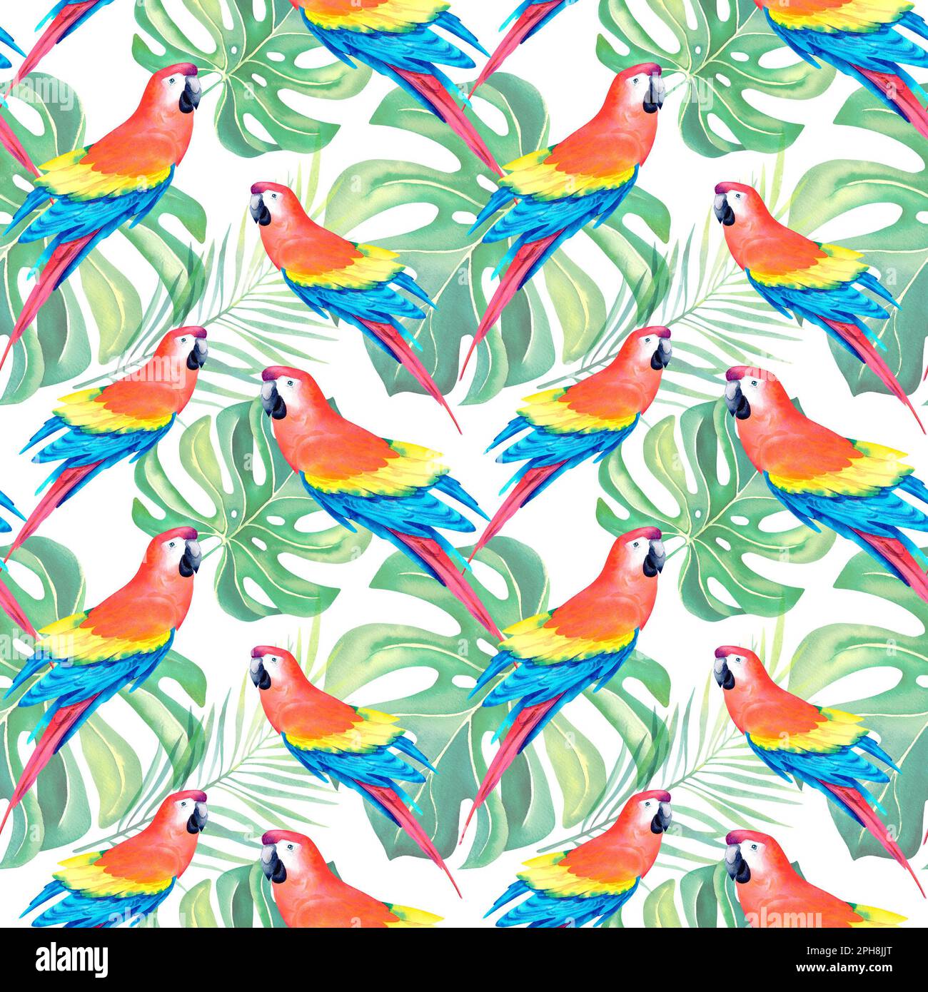 A pattern of macaws, monstera parrots. Tropical collage. Watercolor ...