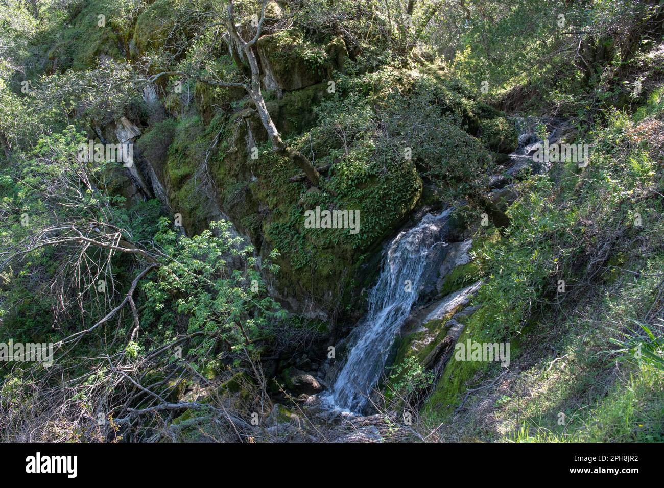 Small waterflow hi-res stock photography and images - Alamy