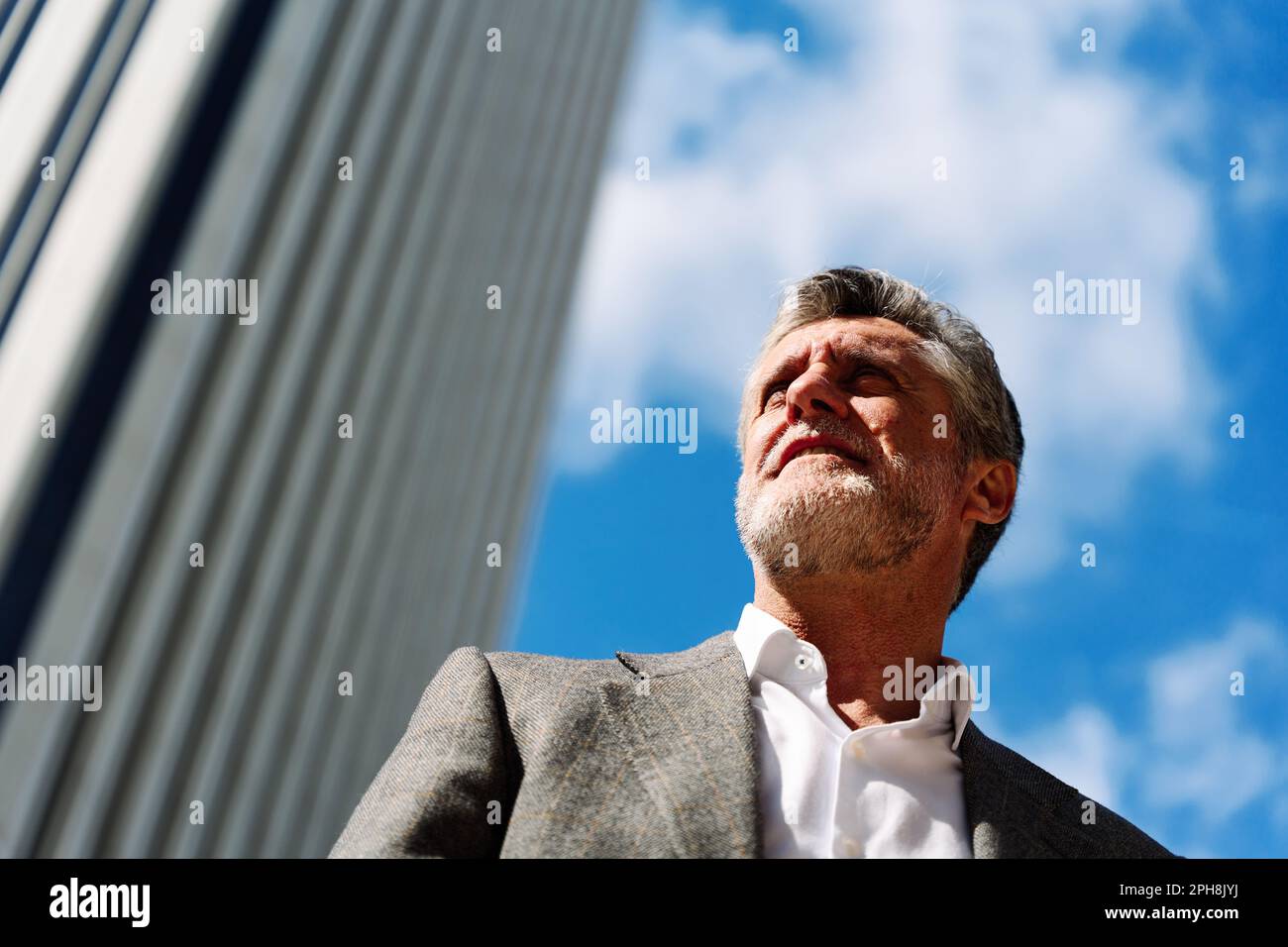 Low angle portrait of a businessman with elegant clothes Stock Photo ...