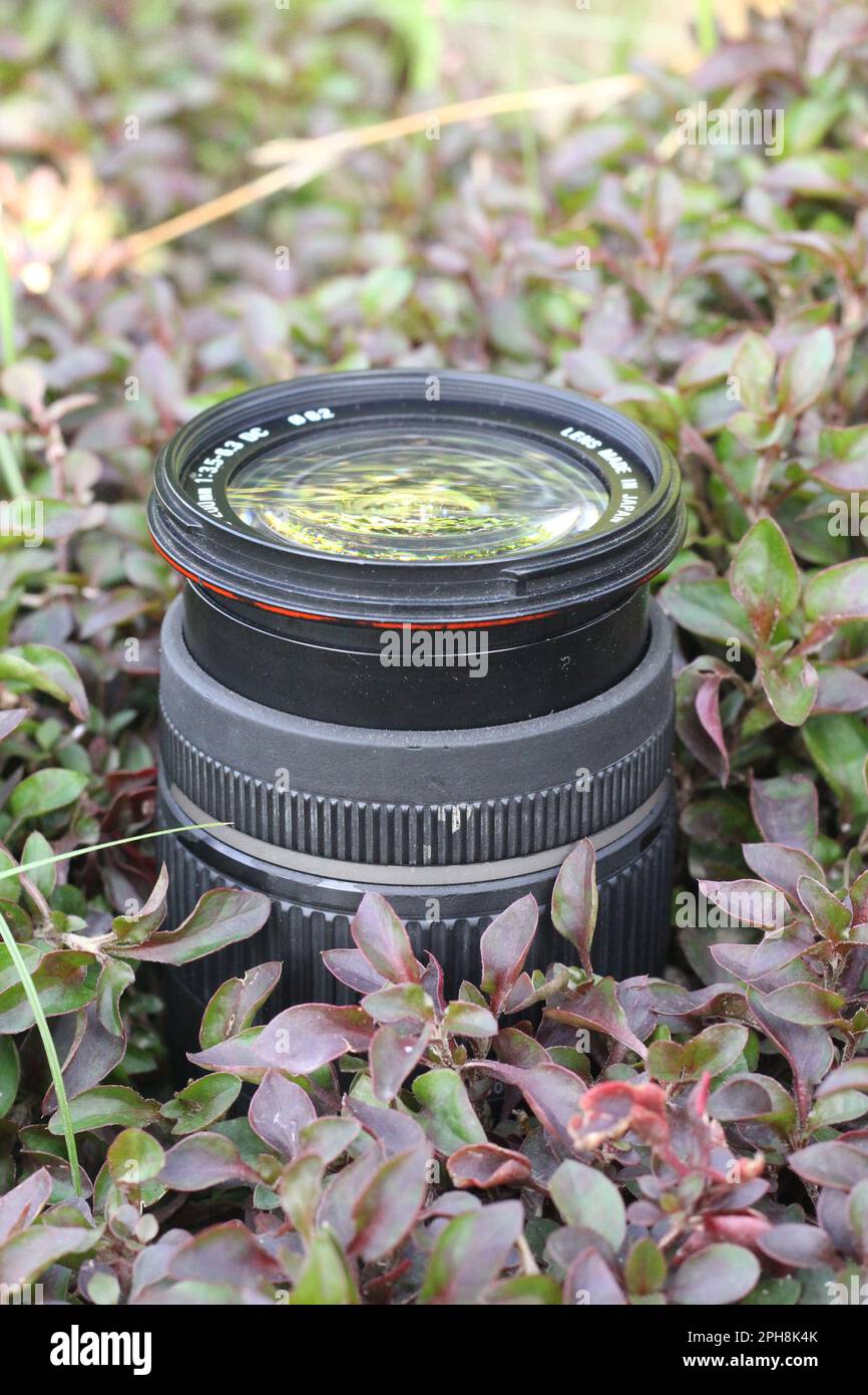 Wide-angle lens high-class photographed on a leaf background Stock ...