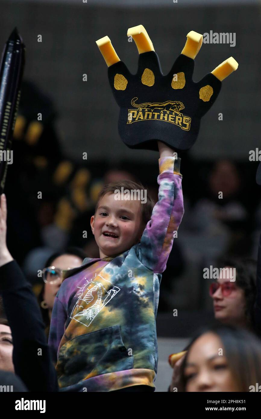 San Jose, California, USA. 26th Mar, 2023. Bay Area Panthers fans with ...