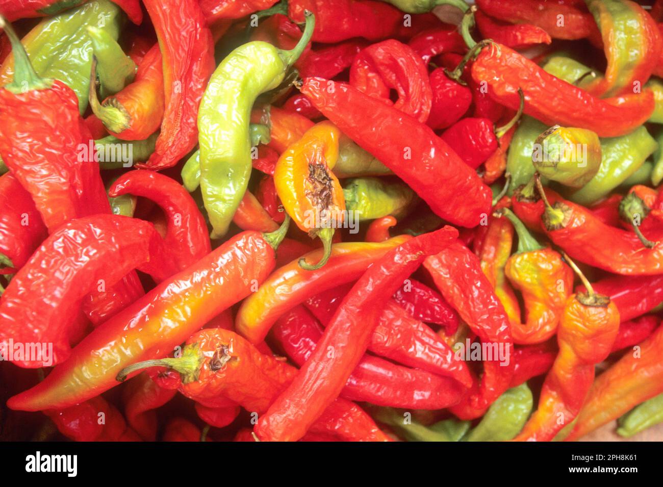 Assortment of red and green peppers at a vegetable stand in Old Town ...