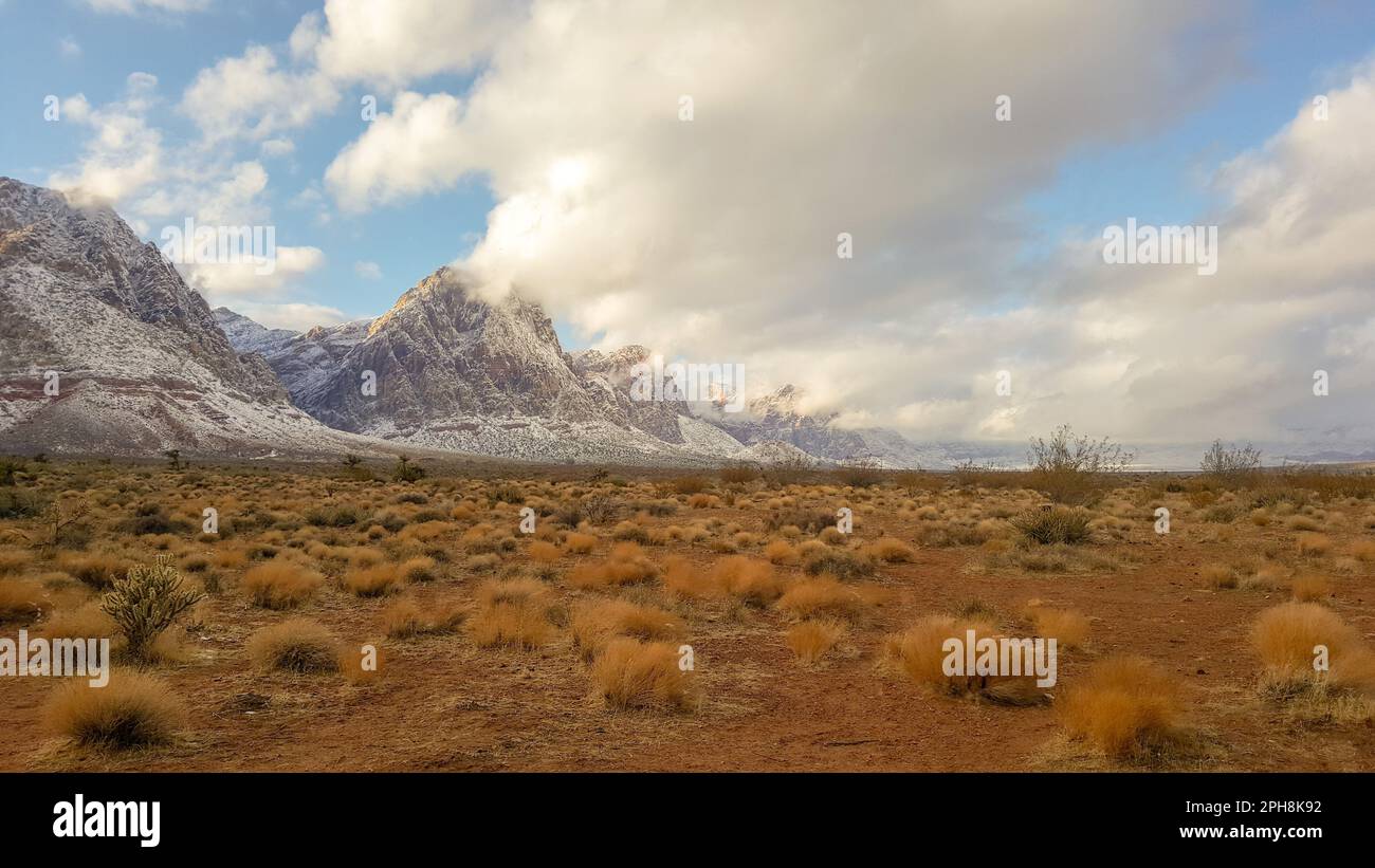 A scenic desert landscape featuring an expanse of dry grass and snow ...