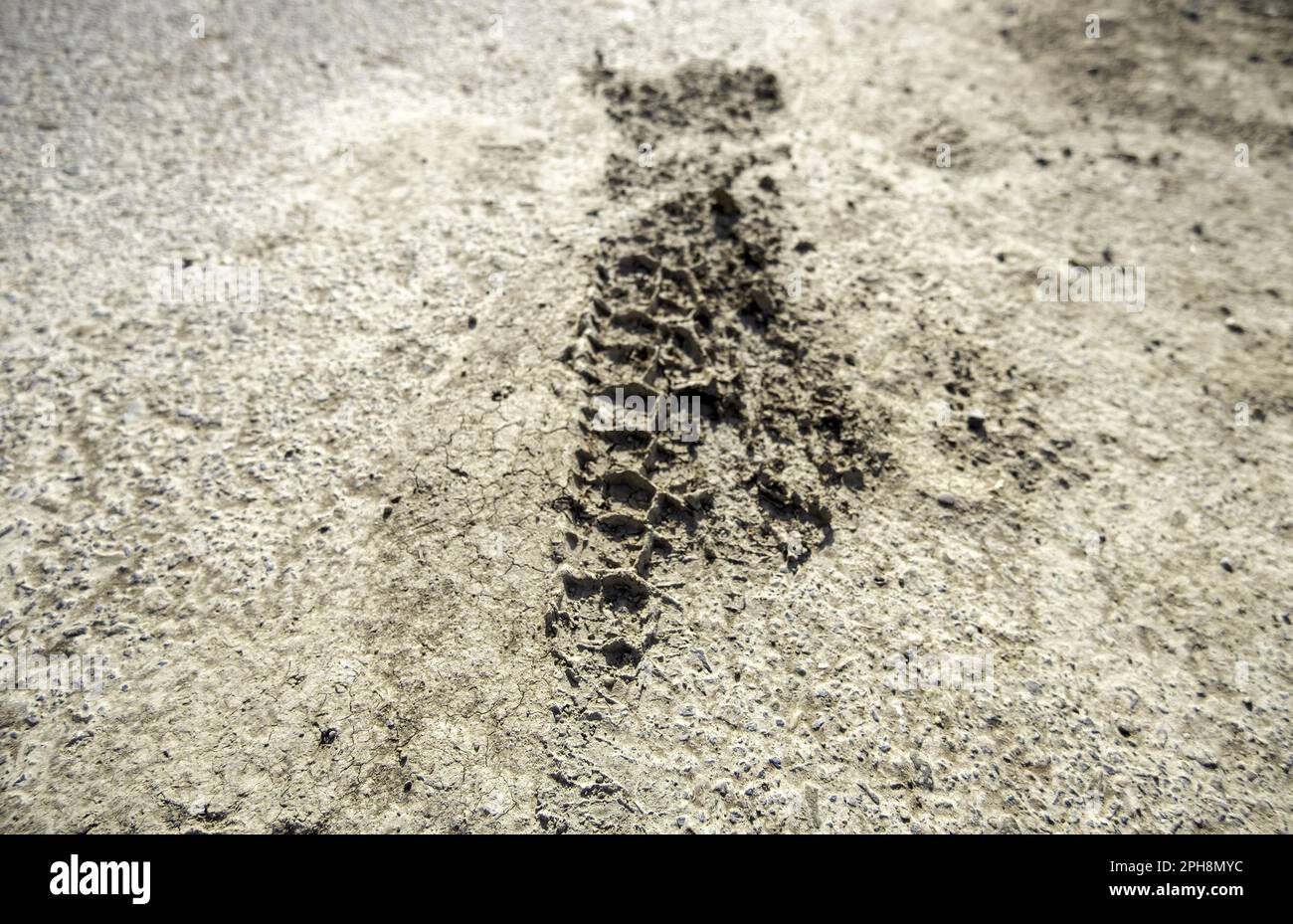Detail of tire sign on a muddy ground in nature Stock Photo - Alamy