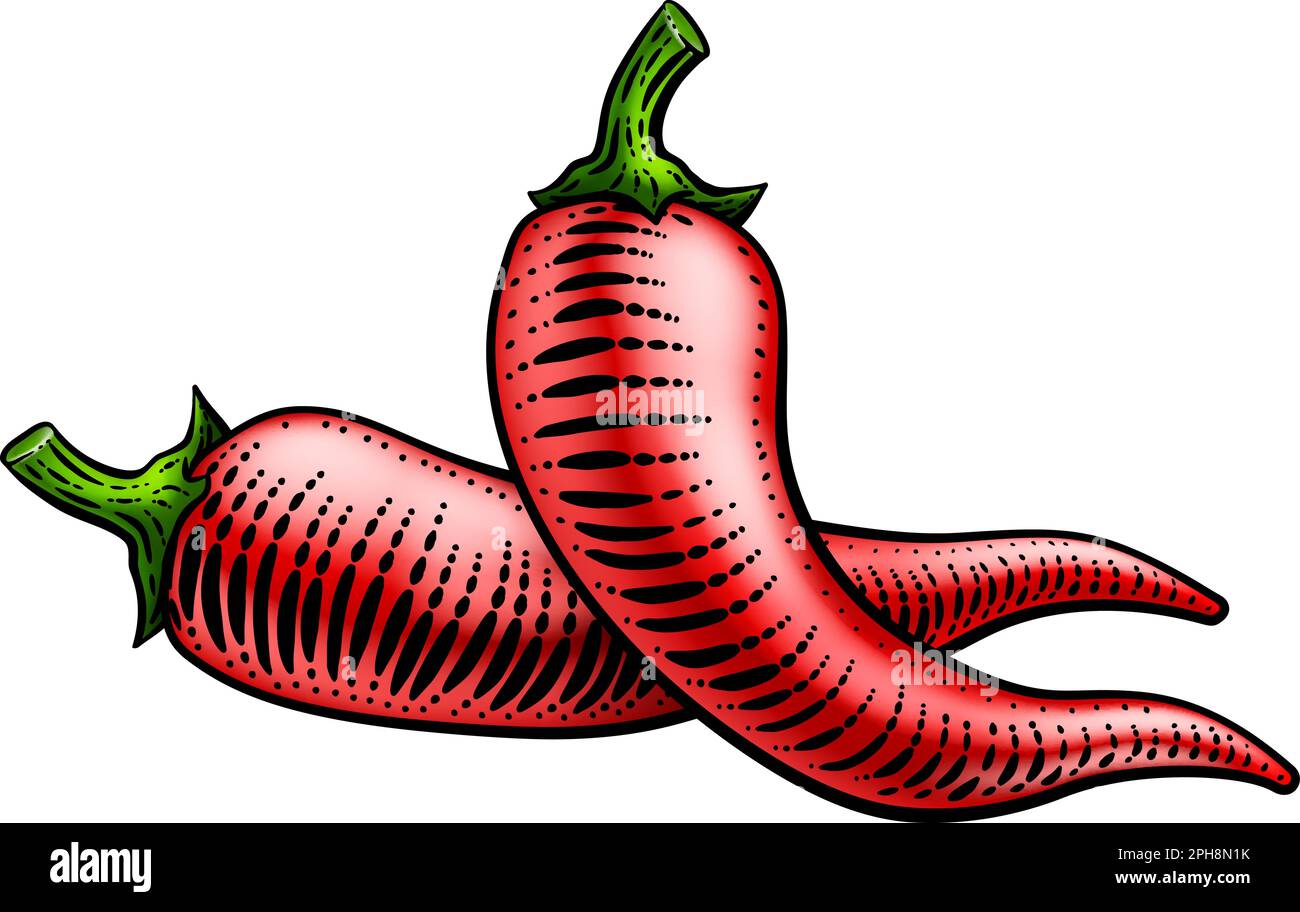 Pepper Vegetable Vintage Woodcut Illustration Stock Vector Image & Art ...