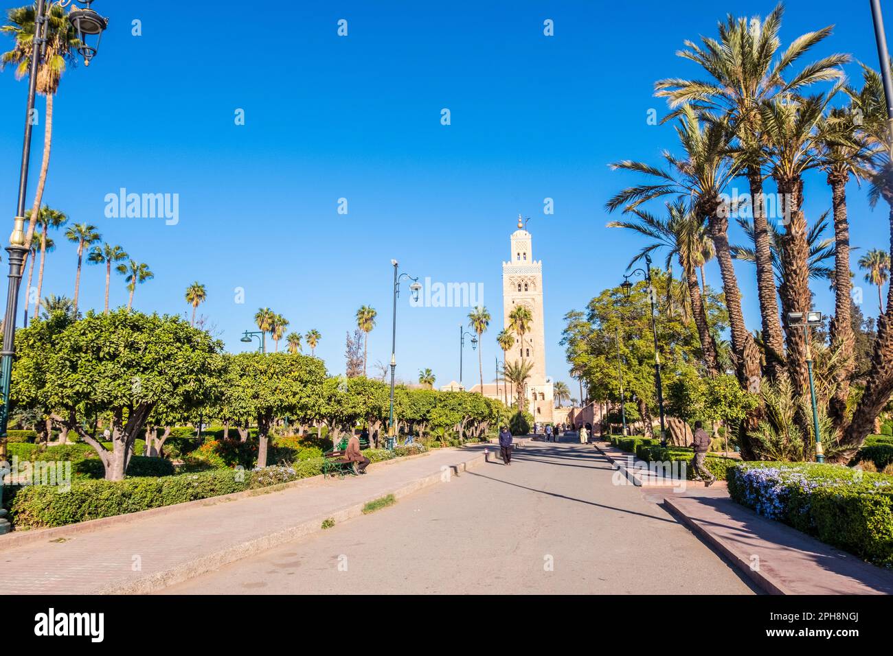A mosque in a park in the center of Marrakech Stock Photo - Alamy
