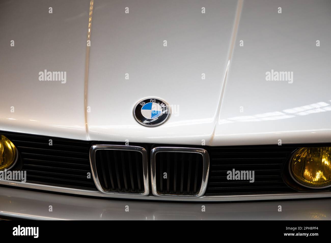 Bmw France Logo