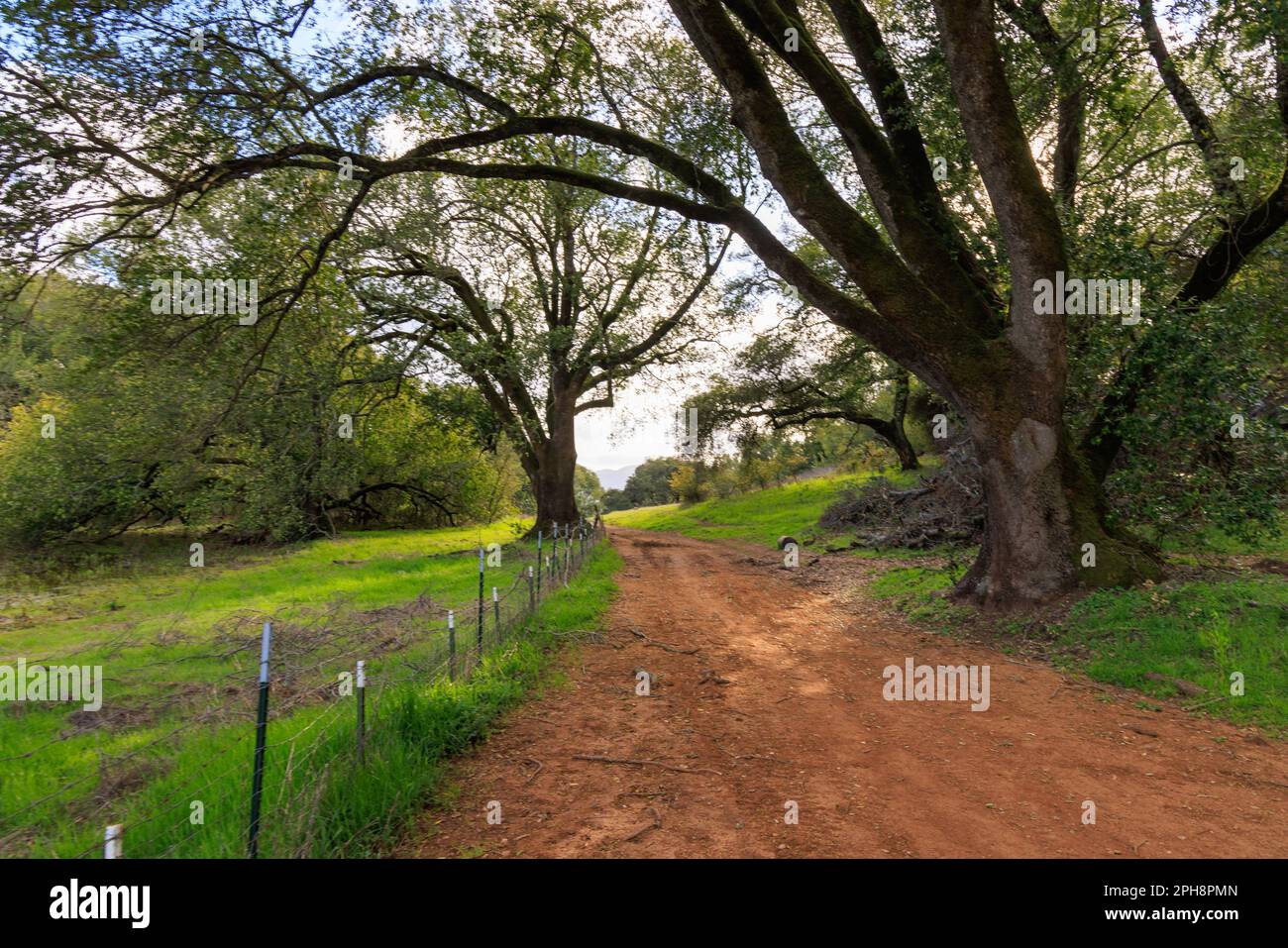 Dirt fire trail for outdoor recreation in green California open space ...