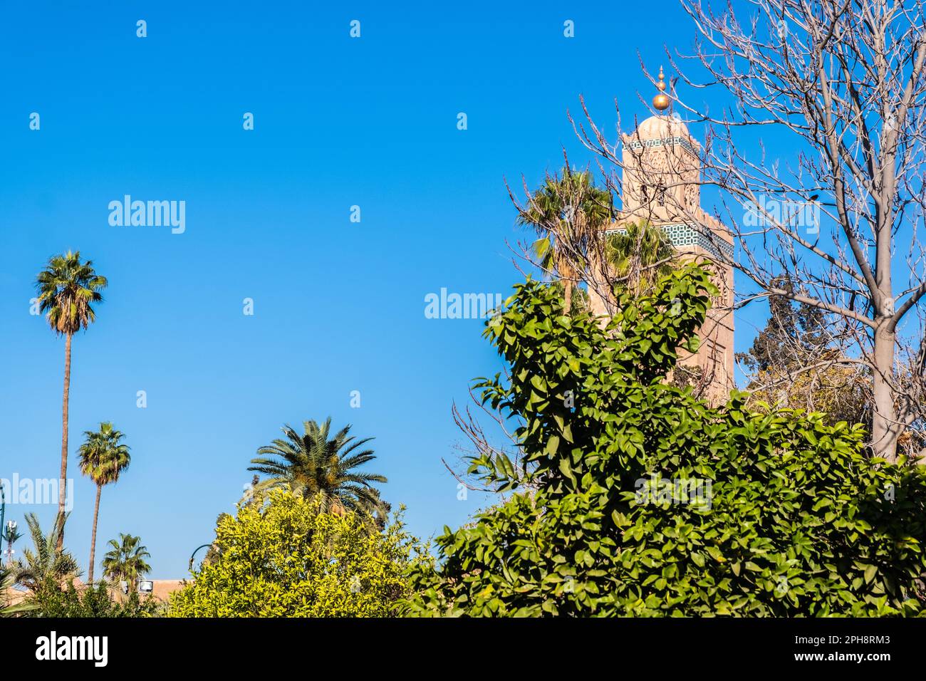 A mosque in a park in the center of Marrakech Stock Photo - Alamy