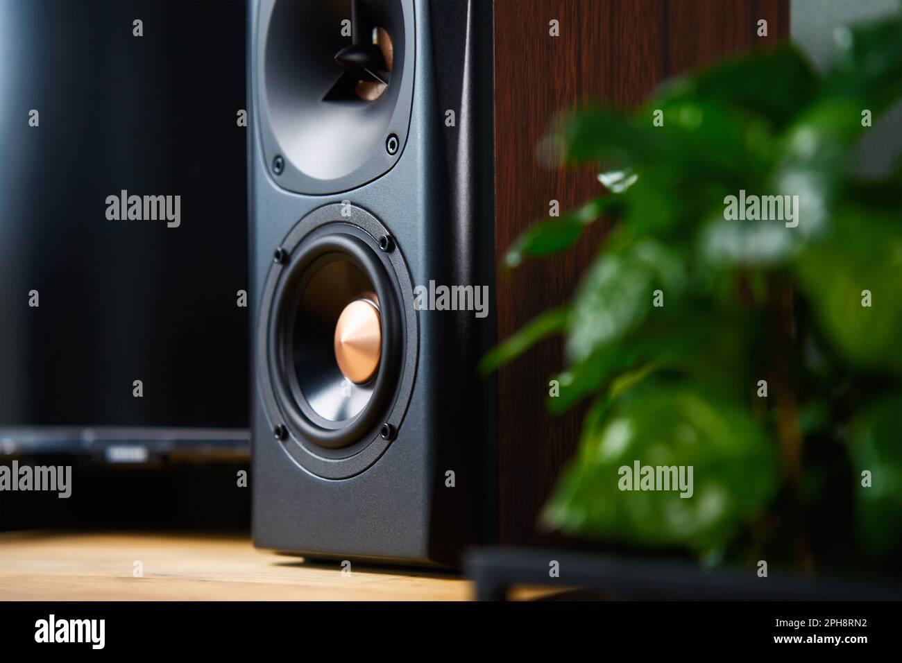 Sound speaker in living room interior. Set for listening music. Audio ...