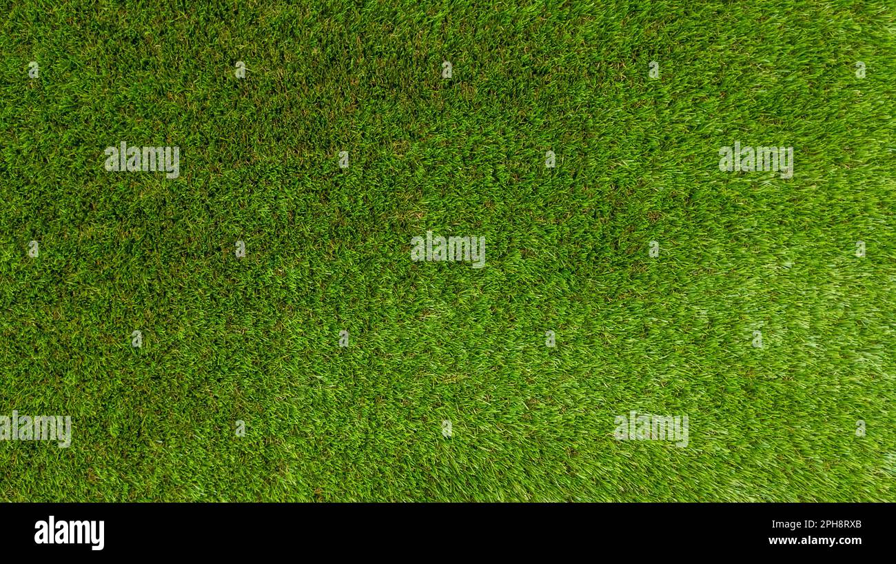 grass real field background light natural green floor outdoor wallpaper ...