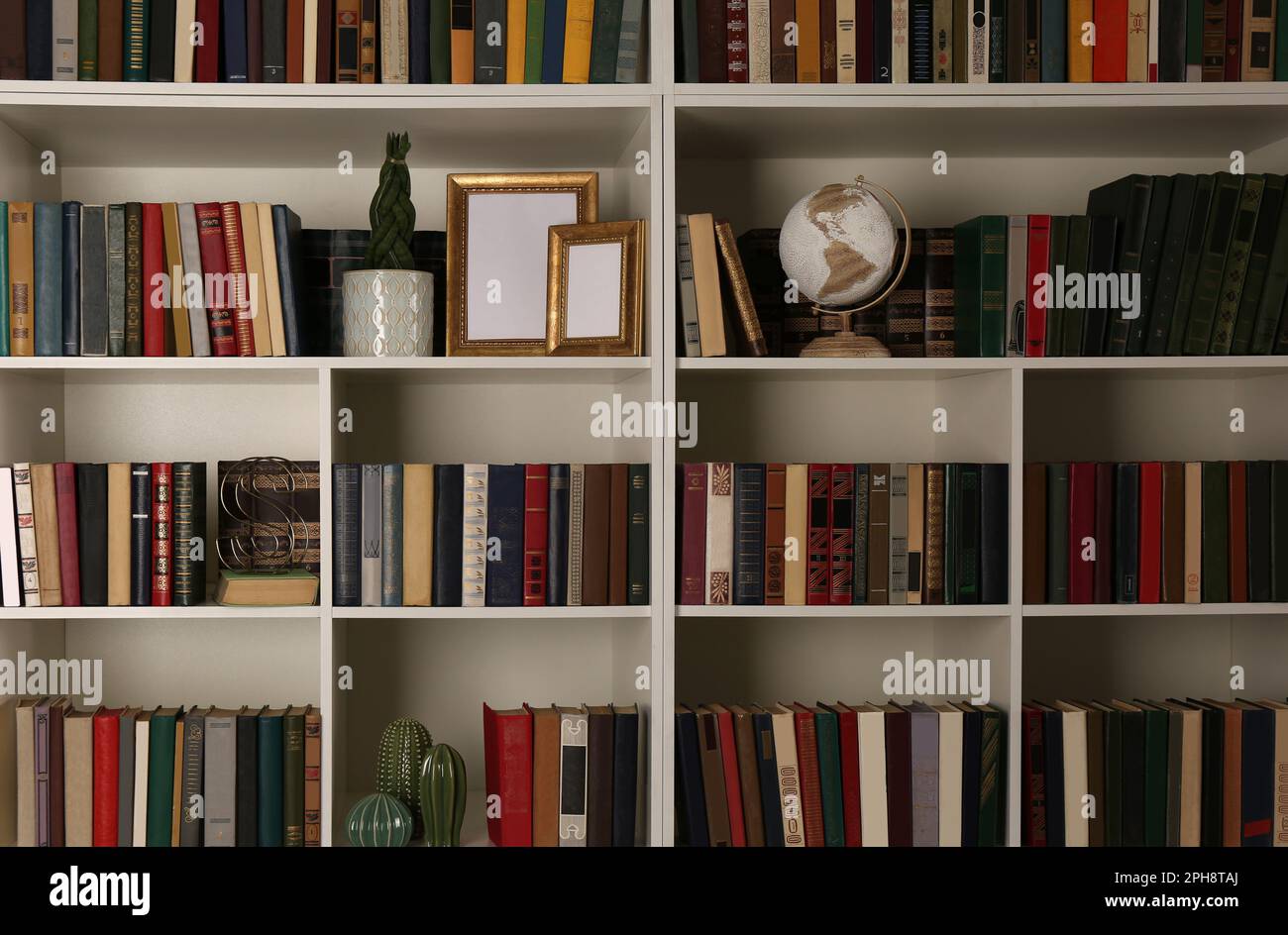 Shelves of cacti hi-res stock photography and images - Alamy