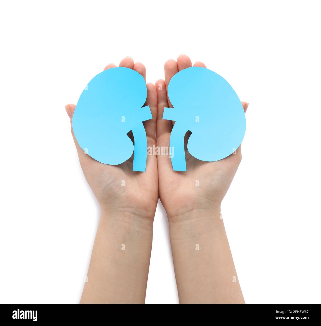 Woman holding paper cutout of kidneys on white background, top view ...