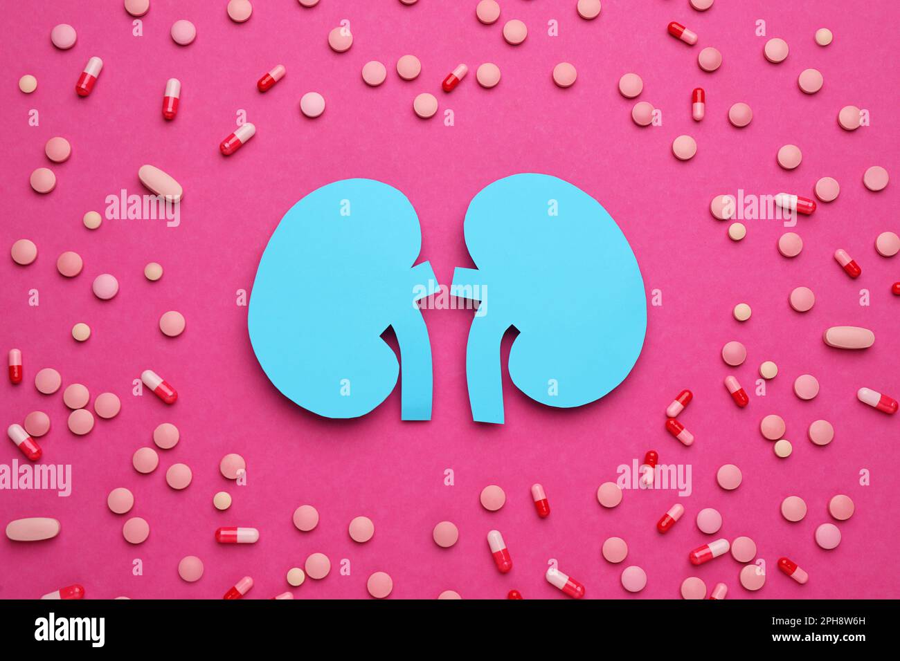 Paper cutout of kidneys and pills on magenta background, flat lay Stock ...