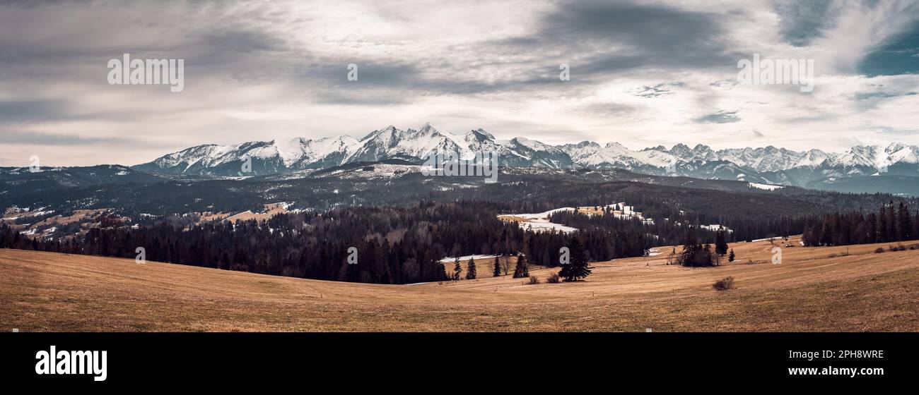 View of the panorama of the Tatra Mountains from the Łapszanka pass. Early spring. Snow-covered ...
