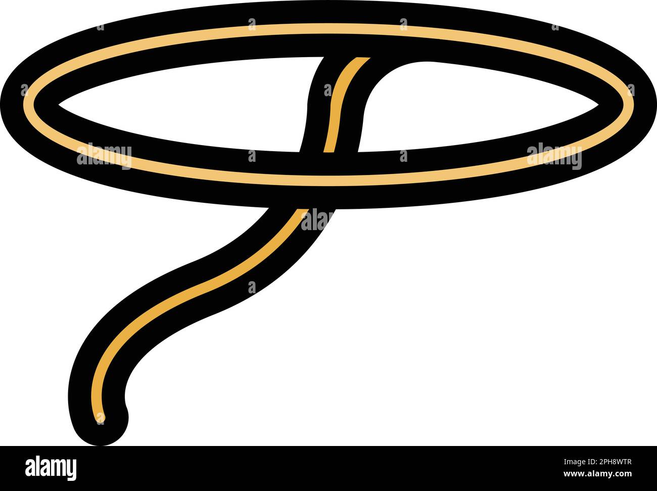 Lasso icon. Outline Lasso vector icon for web design isolated on white ...