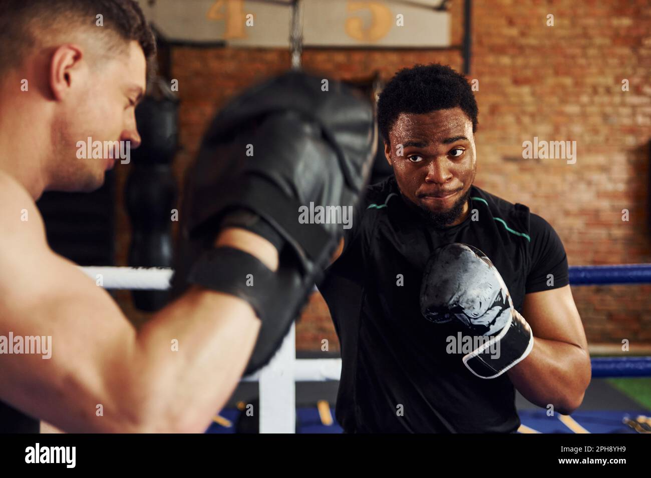 Having boxing practive. African american man with white guy have ...