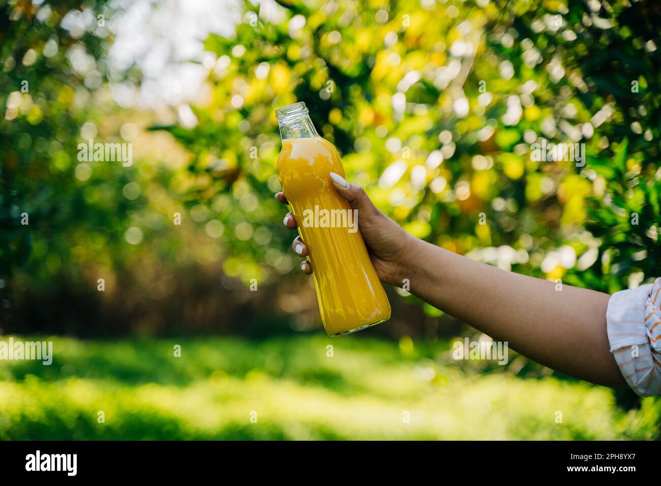 Closeup hand holding a bottle of fresh organic citrus juice beverage ...