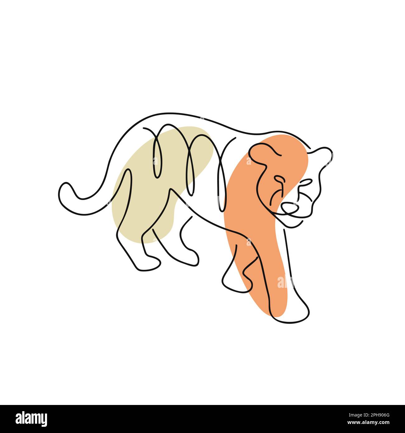 Tiger line drawing hi-res stock photography and images - Alamy