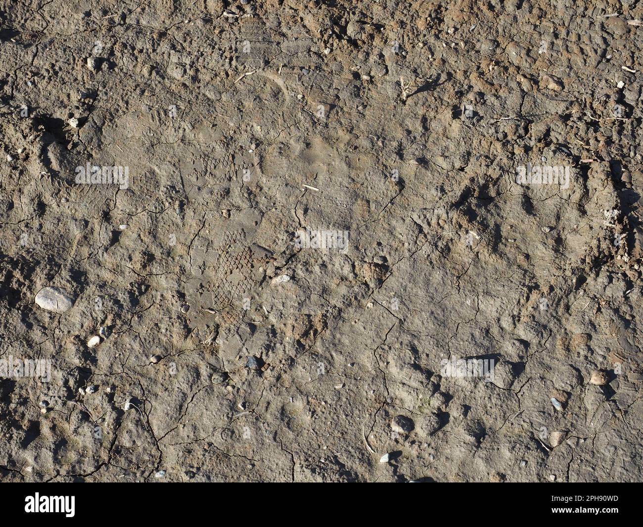 brown earth texture useful as a background Stock Photo - Alamy