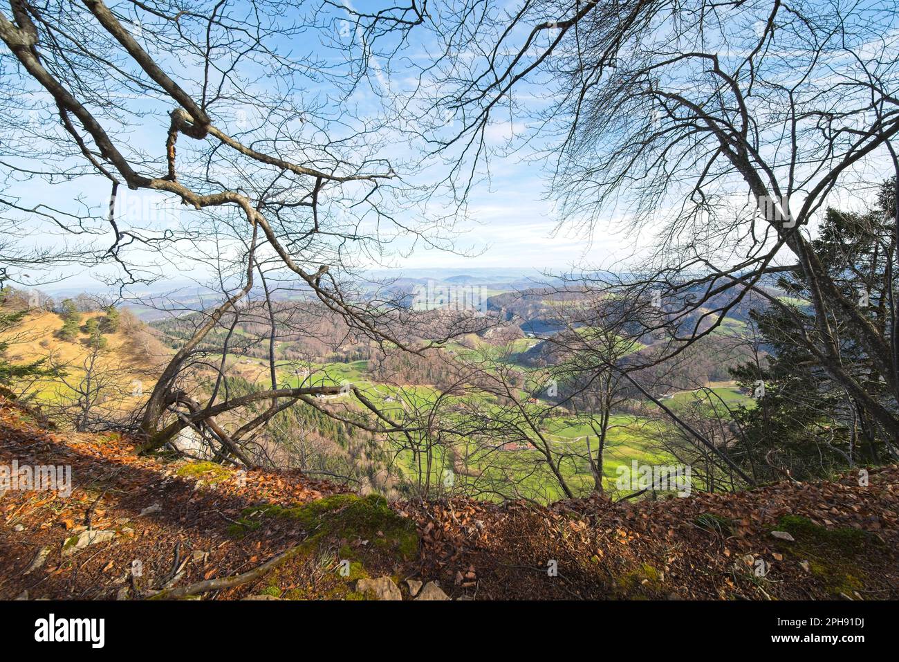 landscape in switzerland in the canton of basel land from the ...