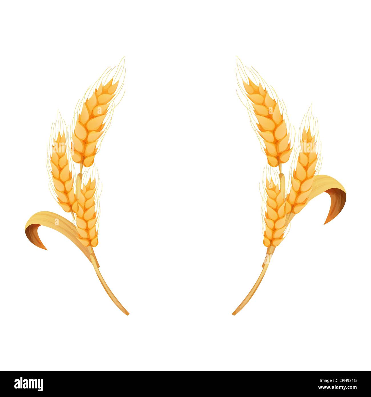 Wreath from spikelet, frame, border golden color wheat circle in ...