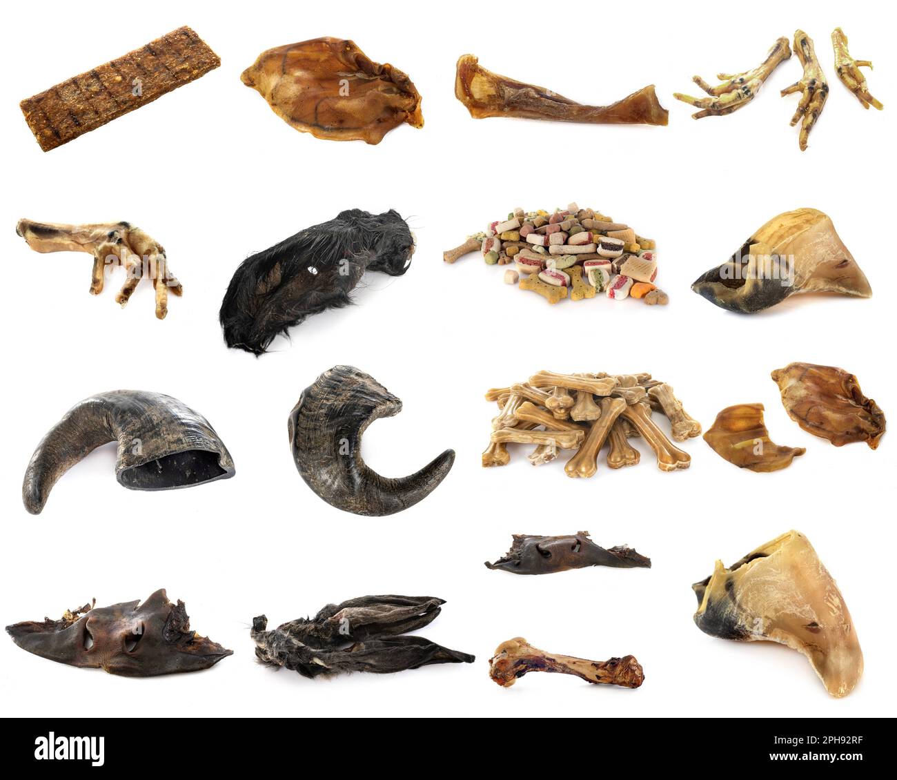 Dog gnawing at his skin hi-res stock photography and images - Alamy