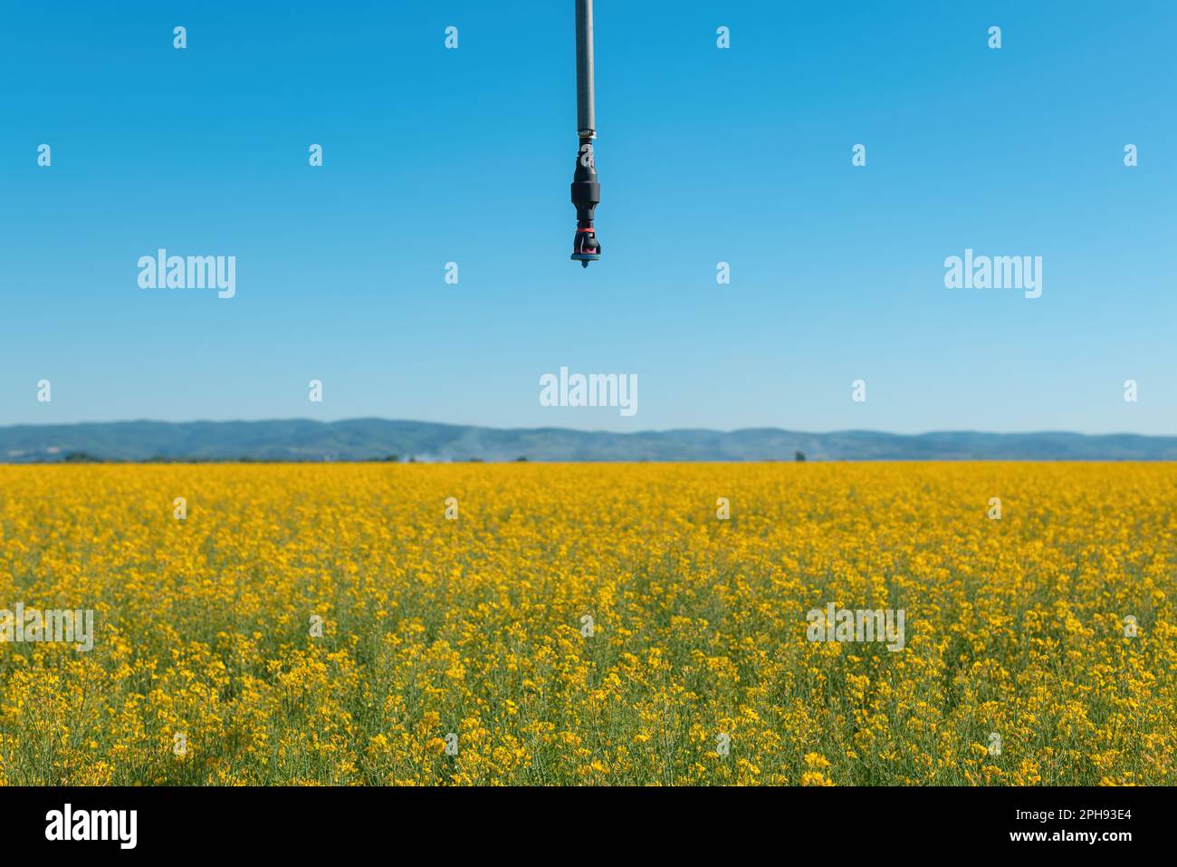 Linear or lateral move irrigation with rotator style pivot applicator ...