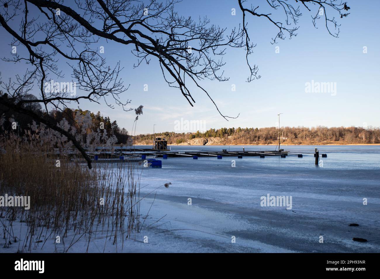 Stockholm Hagaparken in the spring Stock Photo - Alamy