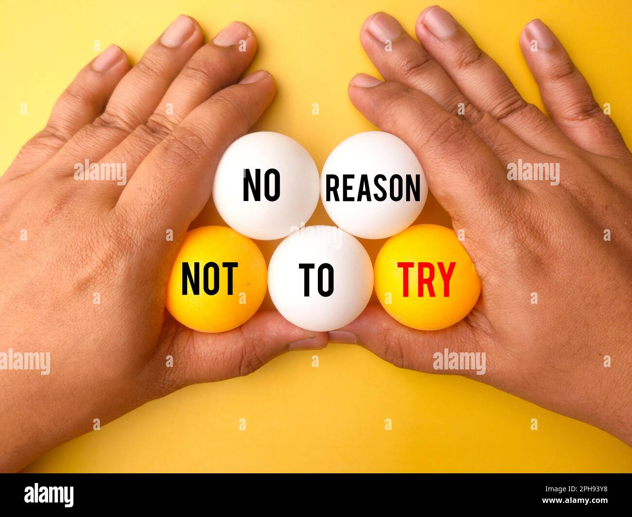 Hand holding ping pong ball with the word NO REASON NOT TO TRY Stock ...