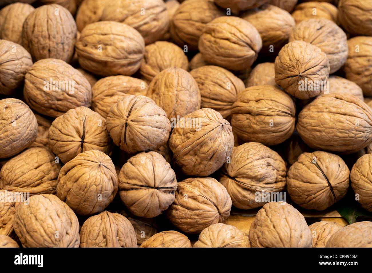 Shelled walnuts. Pile of unshelled walnuts in daylight. Walnut ...