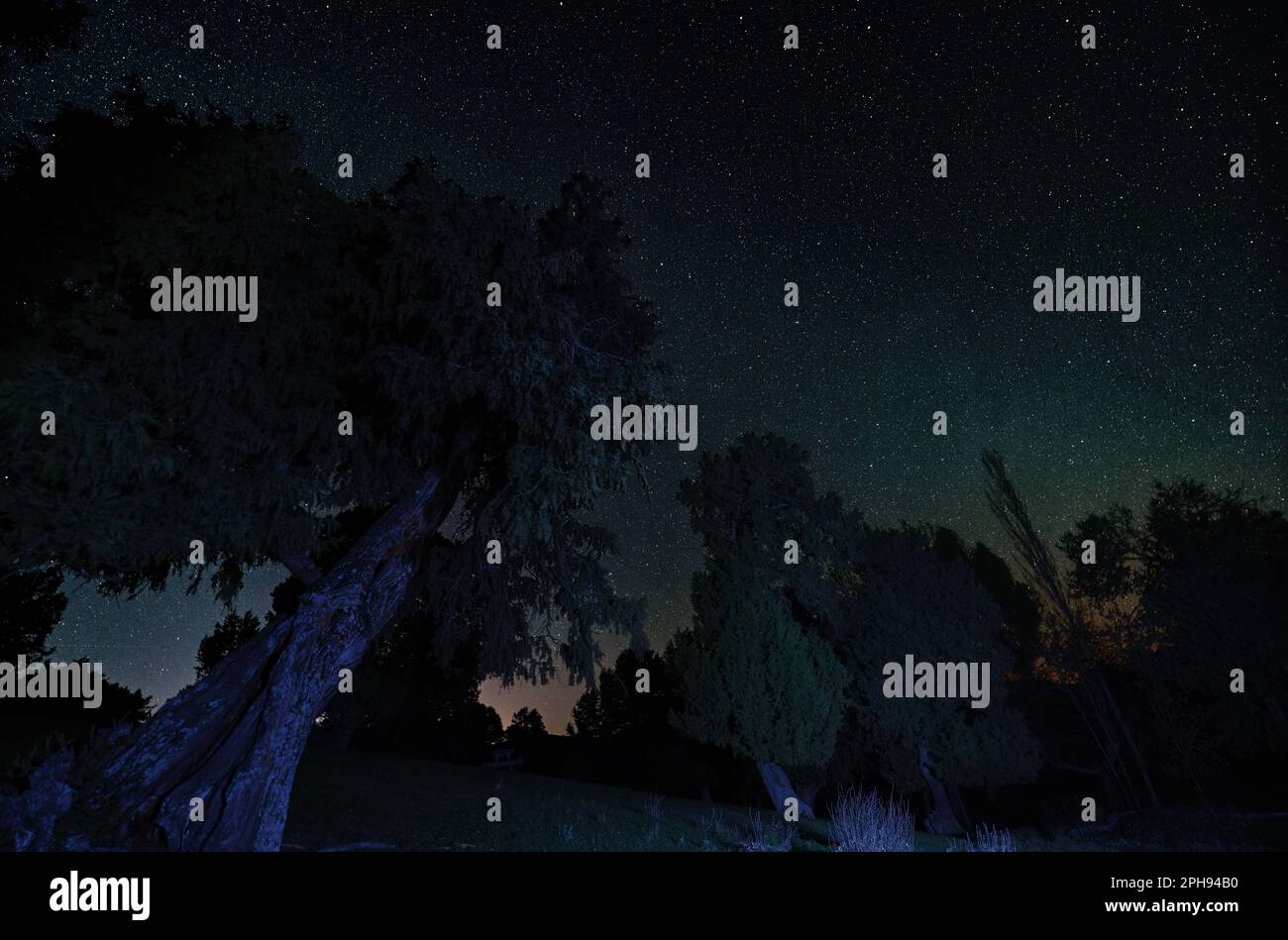 Night Long Exposure photography with stars in background and foreground ...