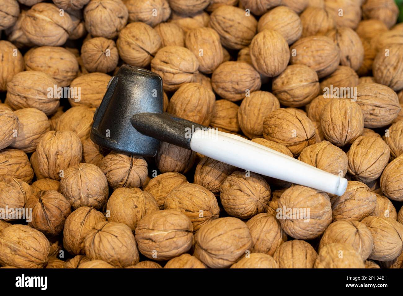 Shelled walnuts. Pile of unshelled walnuts in daylight. Walnut ...