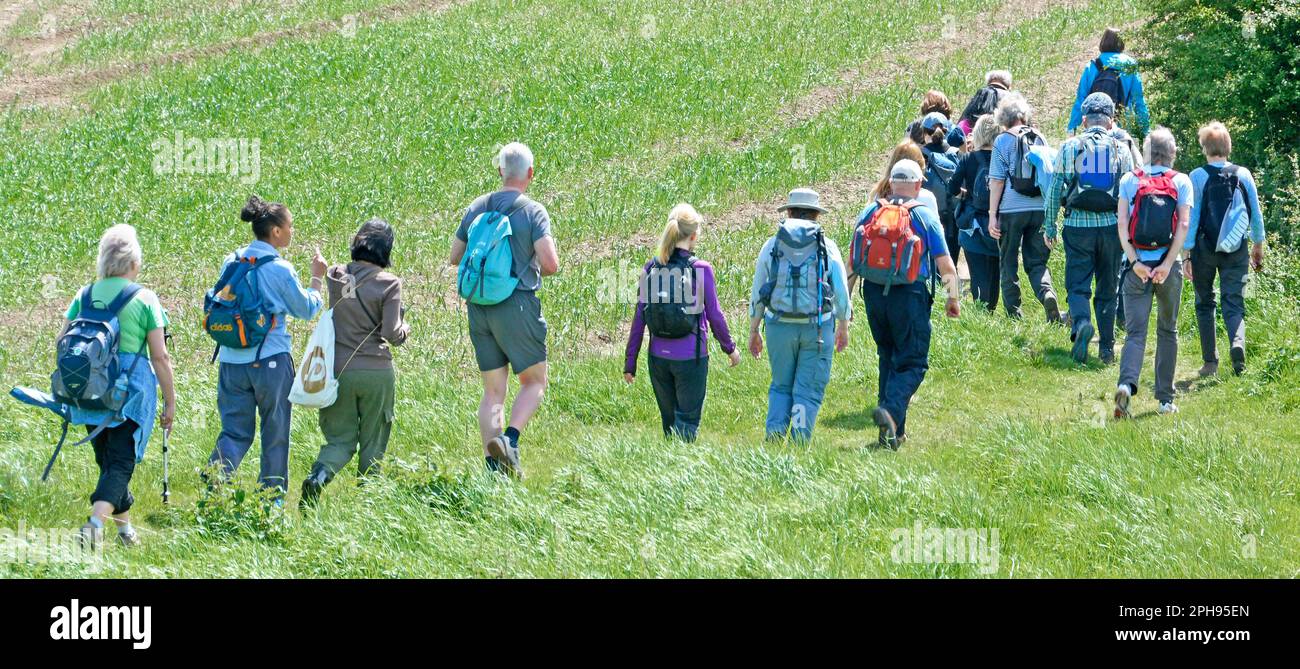 Back view Men and Women walkers in large organised group setting out ...