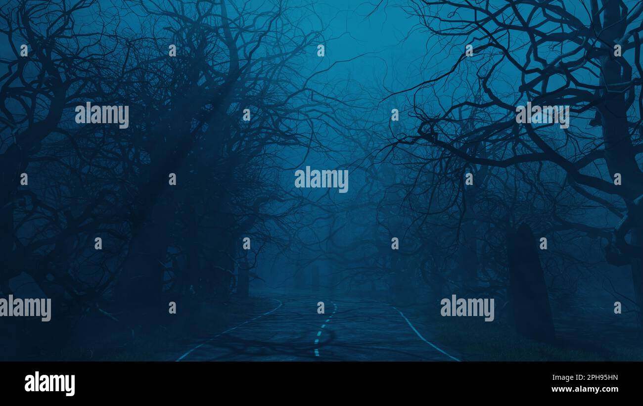 Scary trees at night near forest road. Mystical eerie forest landscape ...