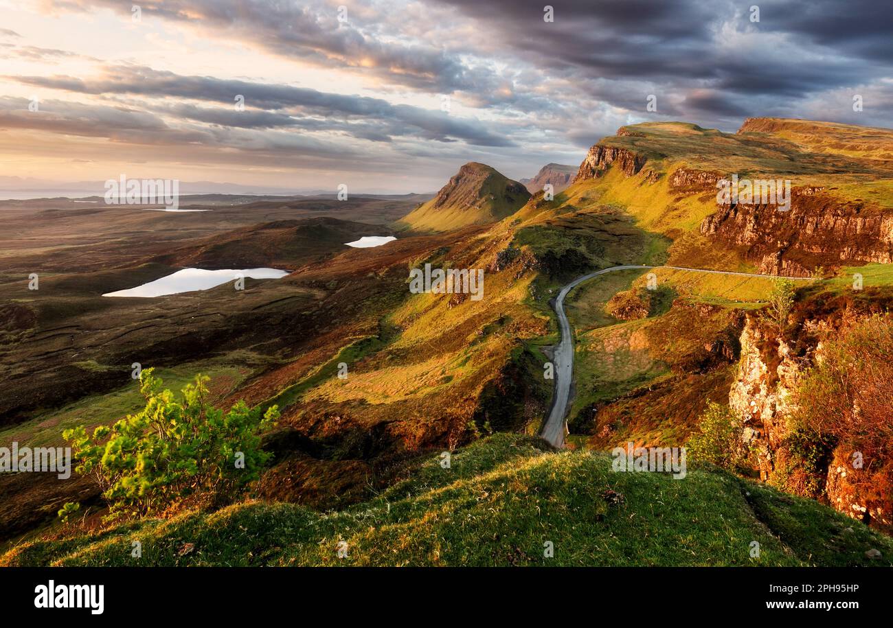 Tree on sunrise landscape in Scotland, UK Stock Photo - Alamy