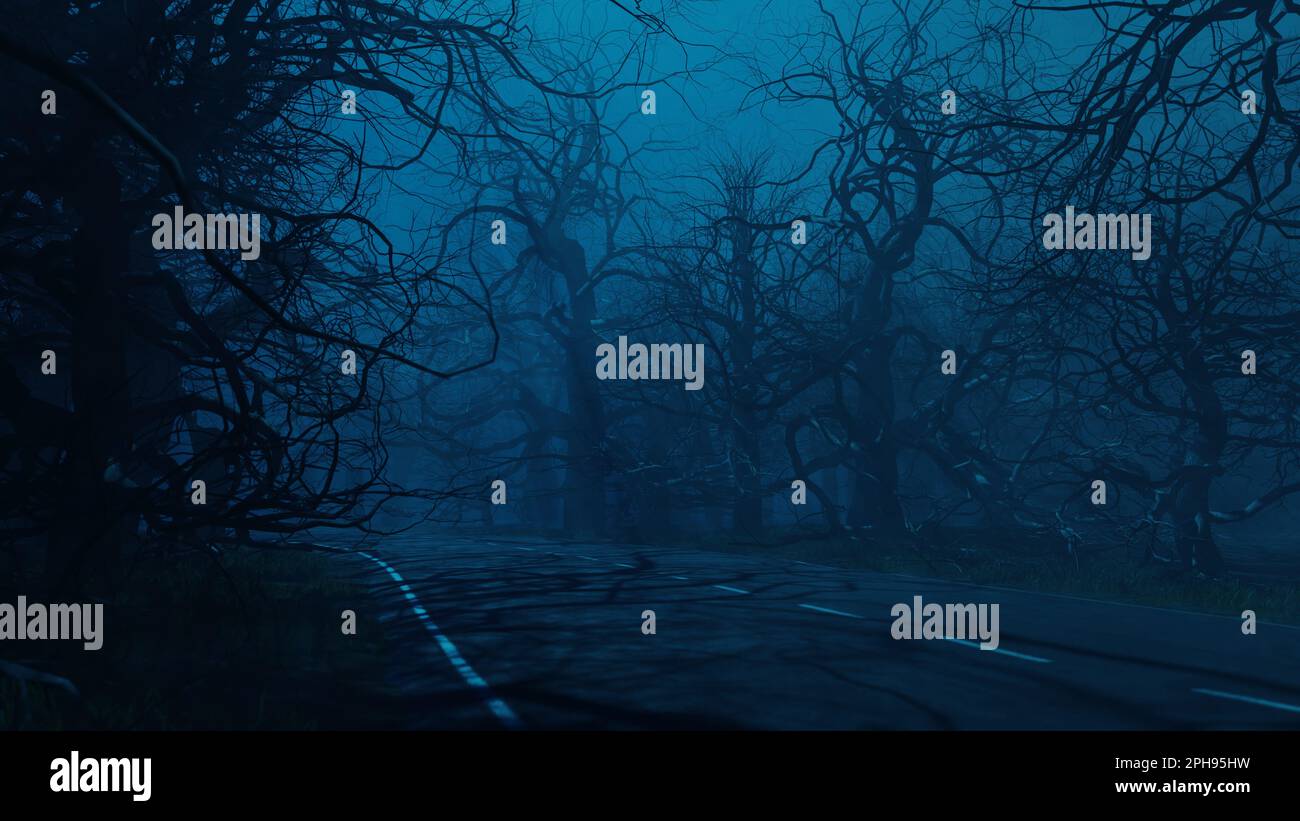 Scary trees at night near forest road. Mystical eerie forest landscape ...