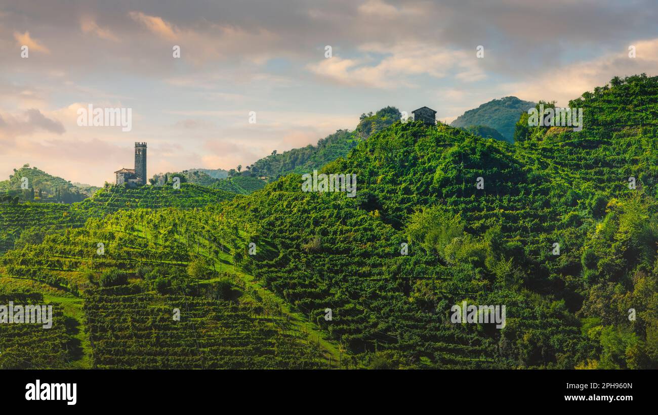 Prosecco Hills, vineyards and San Lorenzo church at the top of the hill ...
