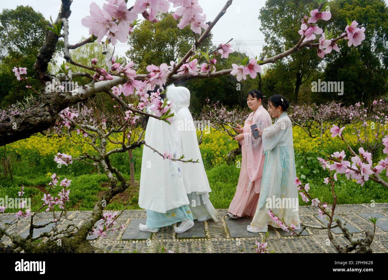 Shanghai Peach Blossom Festival kicks off in Huinan Town, Shanghai ...
