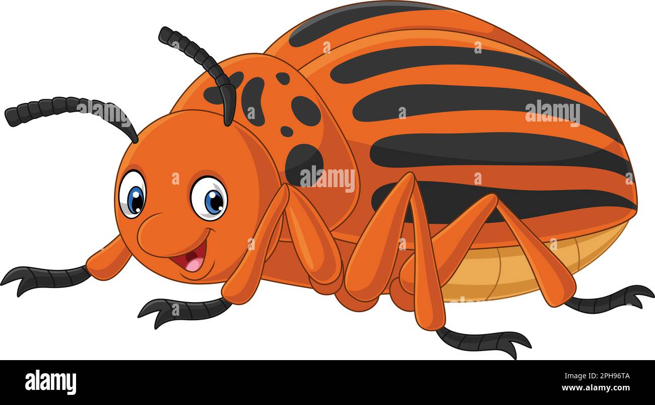 Cartoon colorado beetle on Stock Vector Images - Alamy