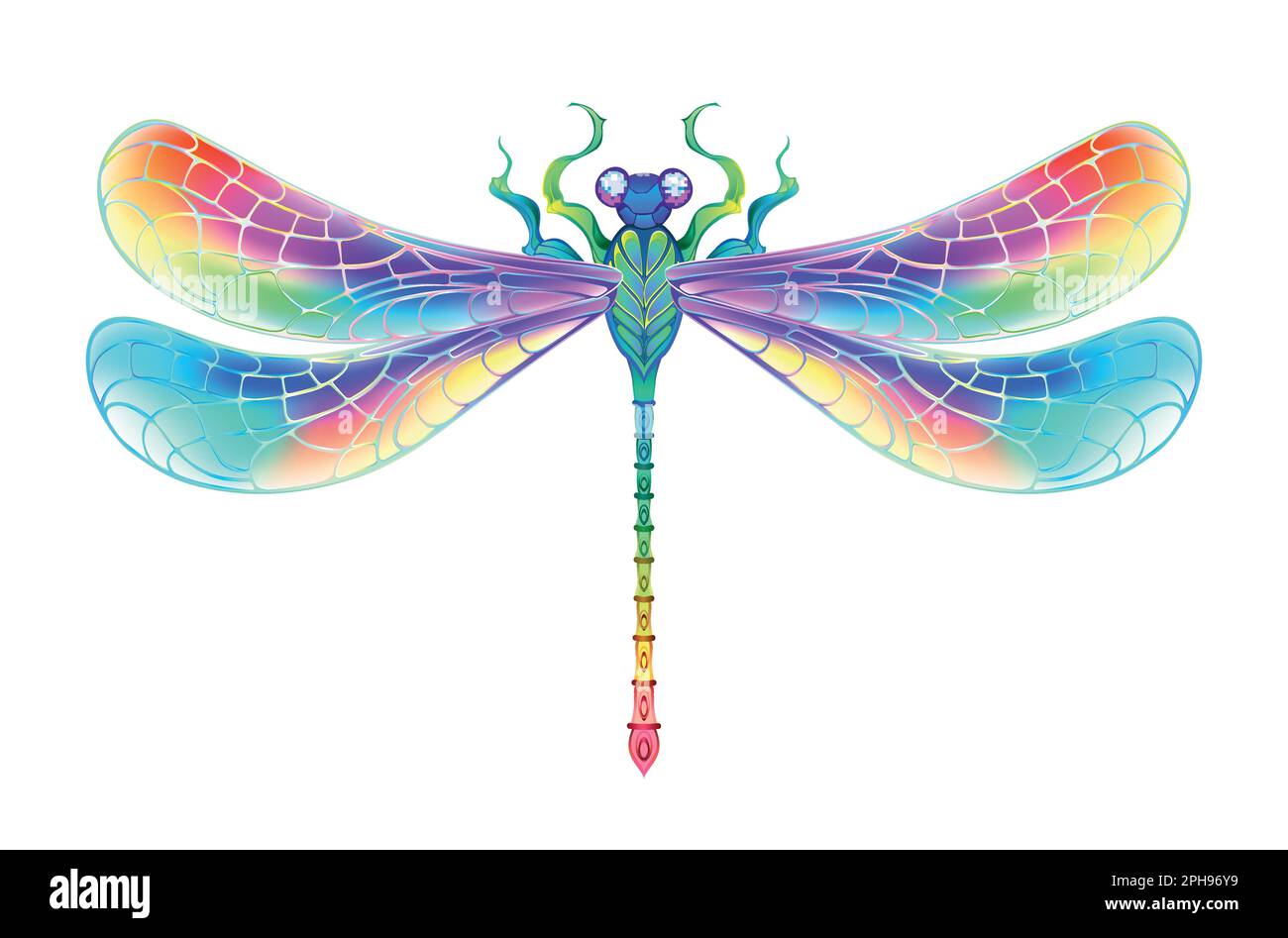 Colorful Dragonfly Backgrounds