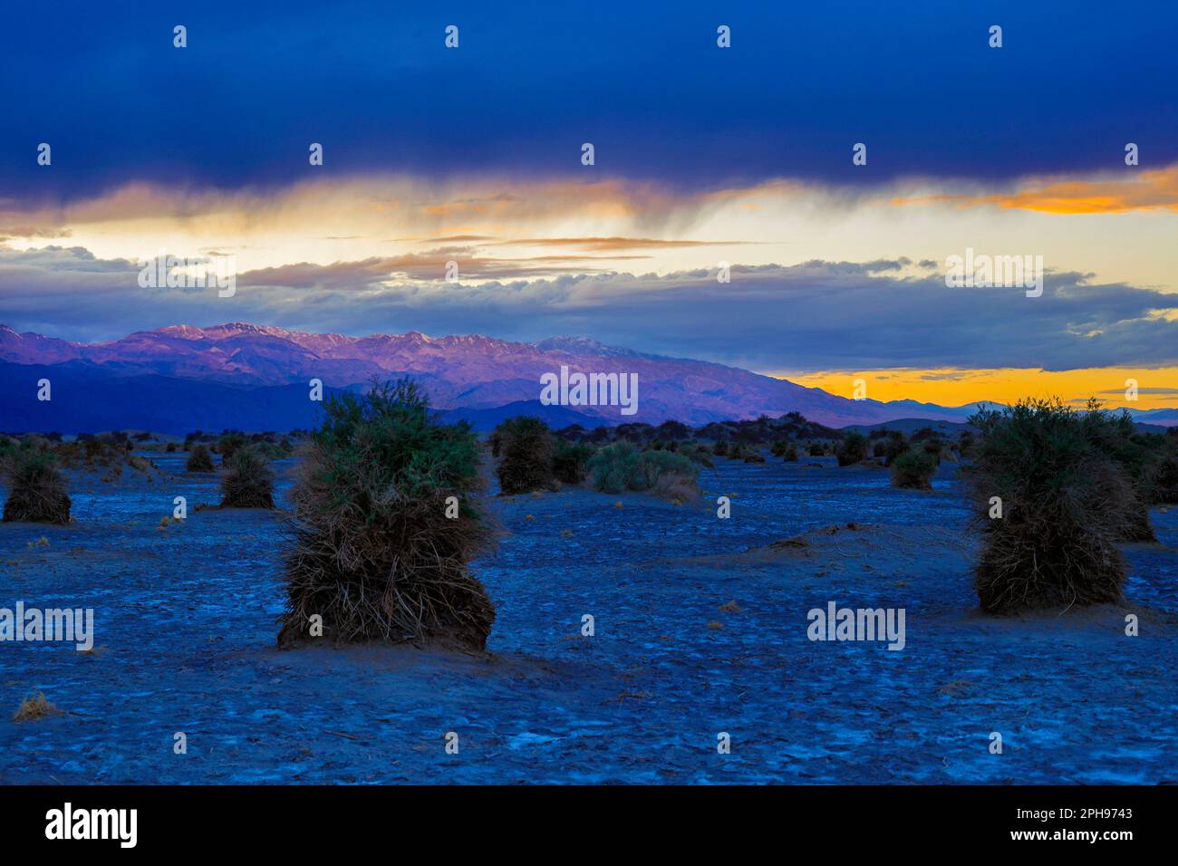This is a late afternoon view of Devils Cornfield, an area of Death ...