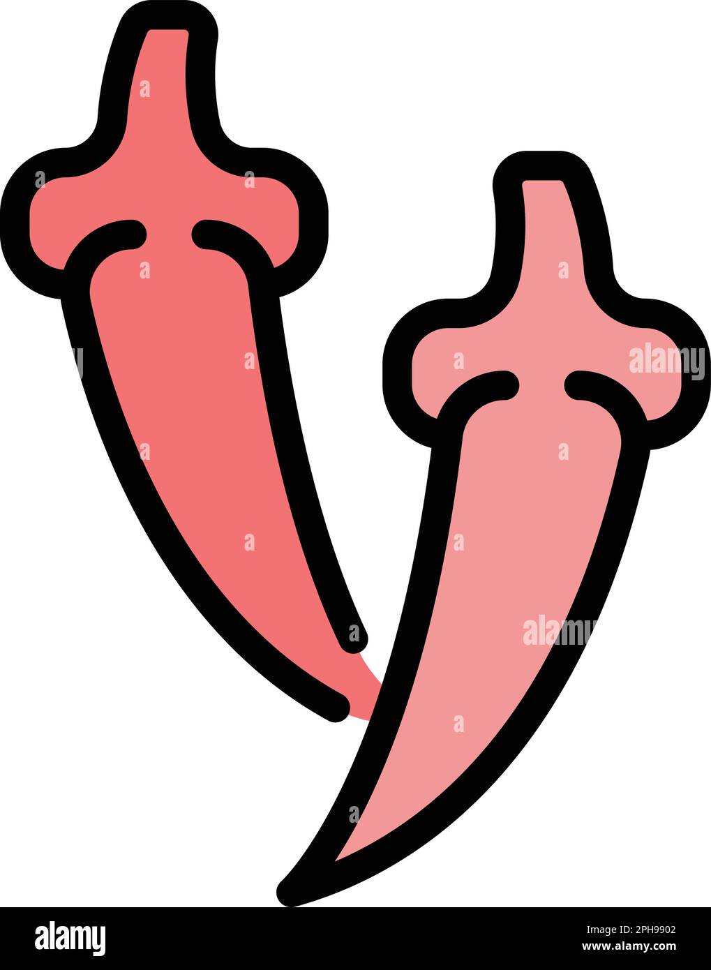 Chilli pepper icon. Outline Chilli pepper vector icon for web design ...