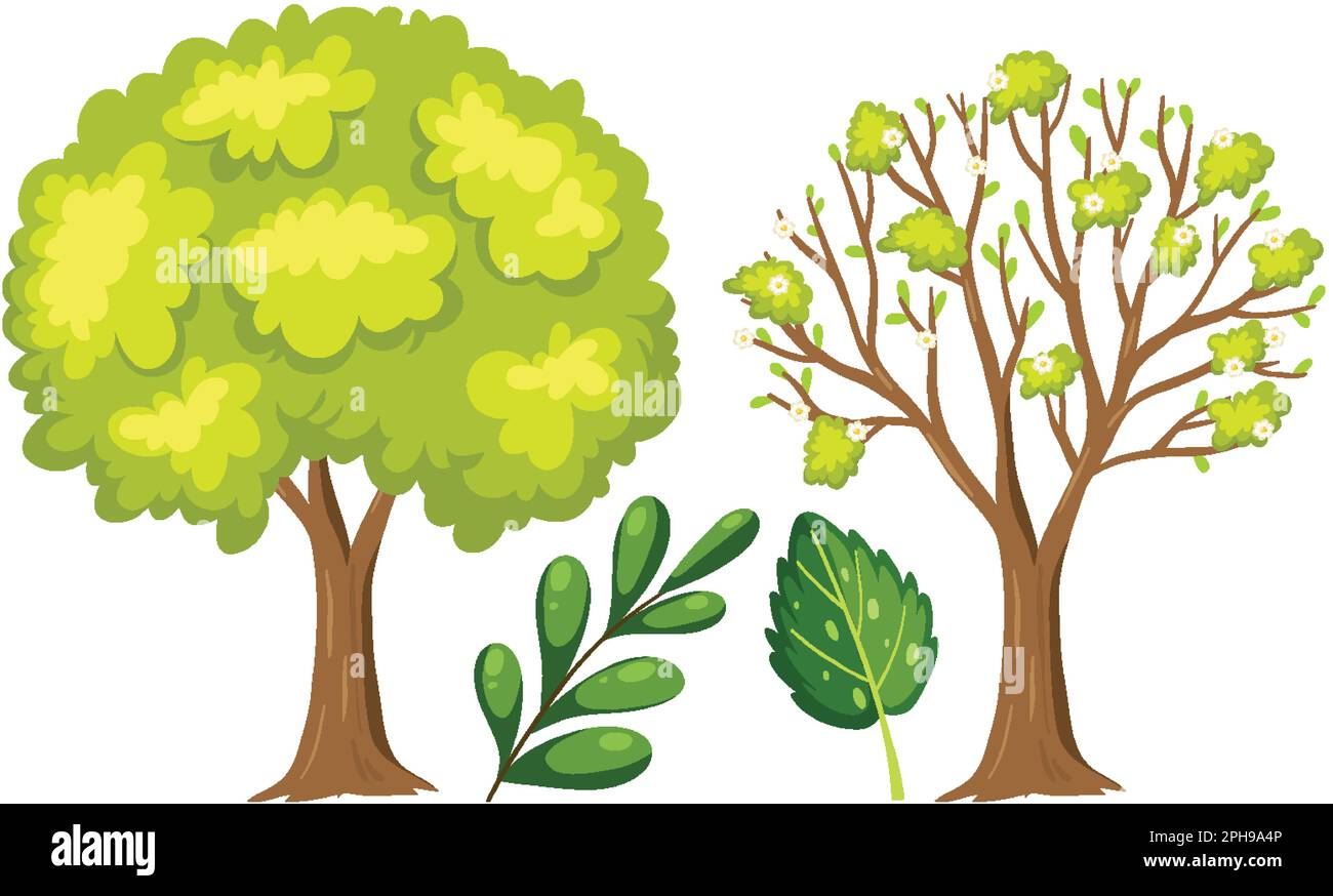 Set of tree cartoon illustration Stock Vector Image & Art - Alamy